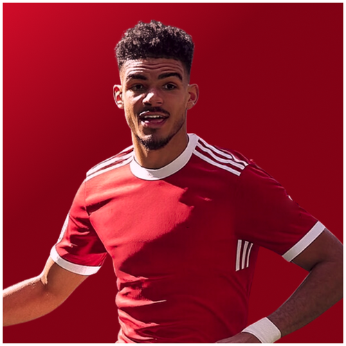 Nottingham Forest FC football Tickets on sale now | Ticombo