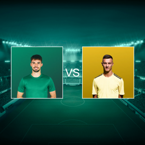 PFC Beroe Stara Zagora vs FC Dobrudzha Dobrich First Professional ...